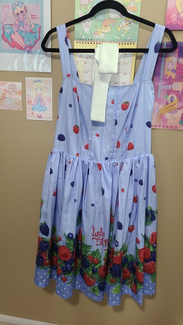 Lady Sloth: Verrry Berry Picnic- Light Blue Standard JSK & KC Size XXL ...